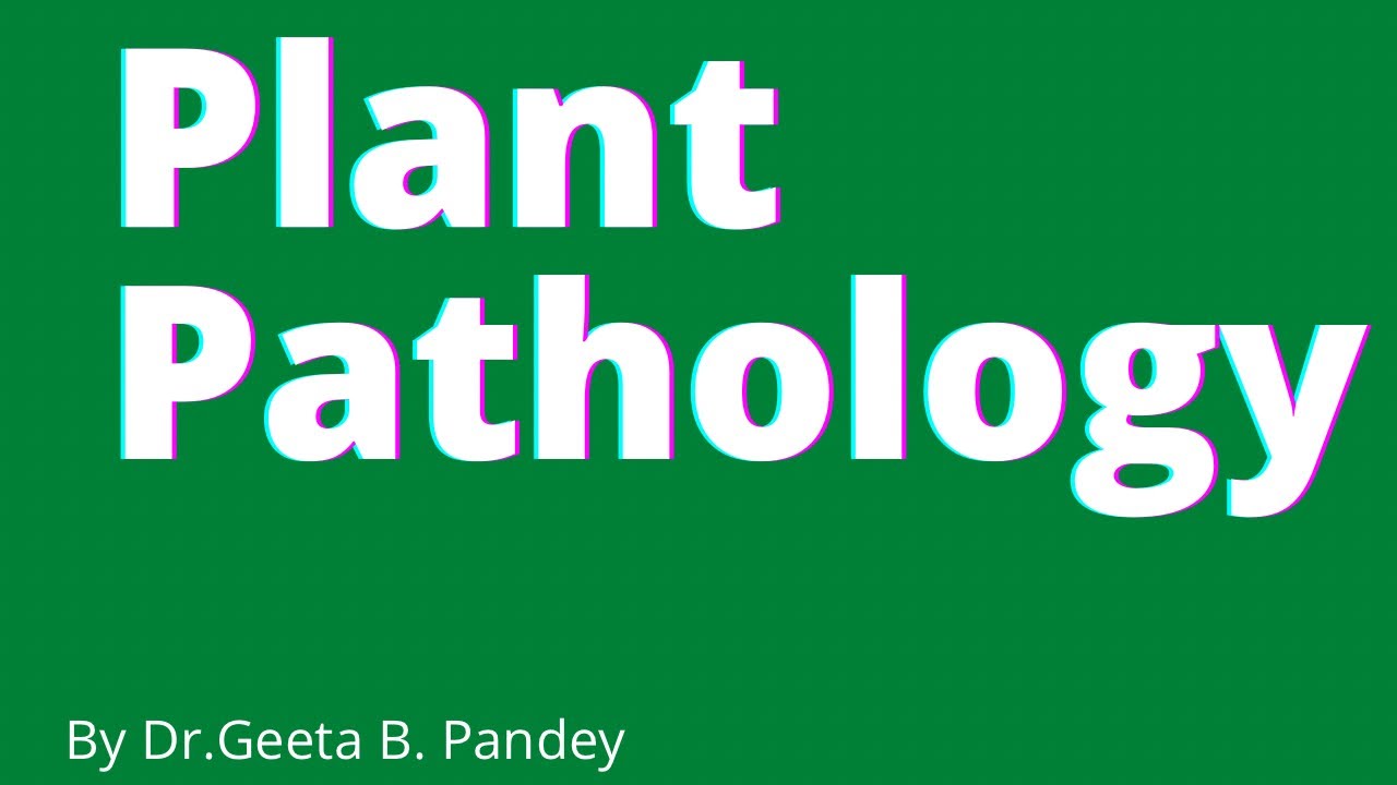 What Is Plant Pathology YouTube What Is Plant Pathology YouTube