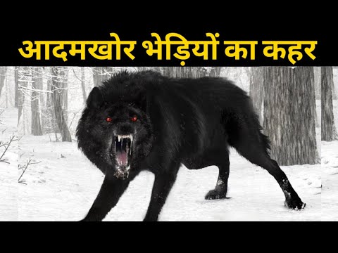 The Terrifying True Story of The Man Eating Wolves of Astha in Hindi ...