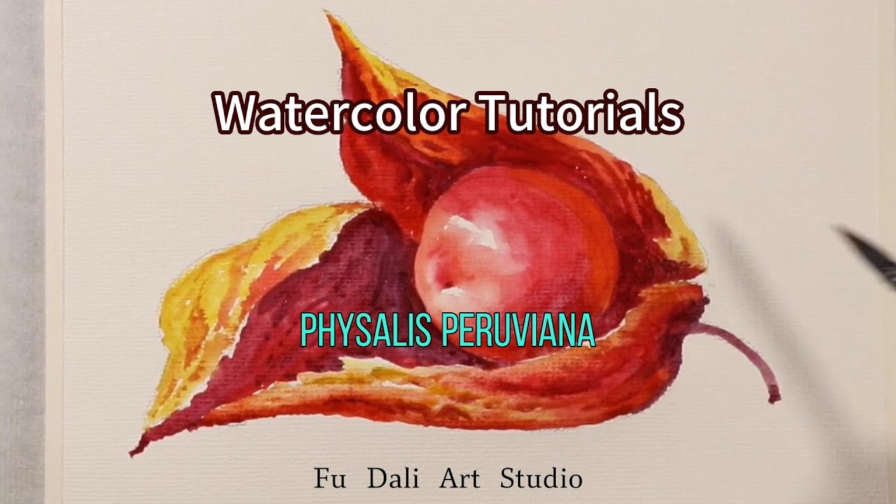 Watercolor Tutorials physalis peruviana|watercolors for beginner|水彩教程 水果|水彩技法 - YouTube