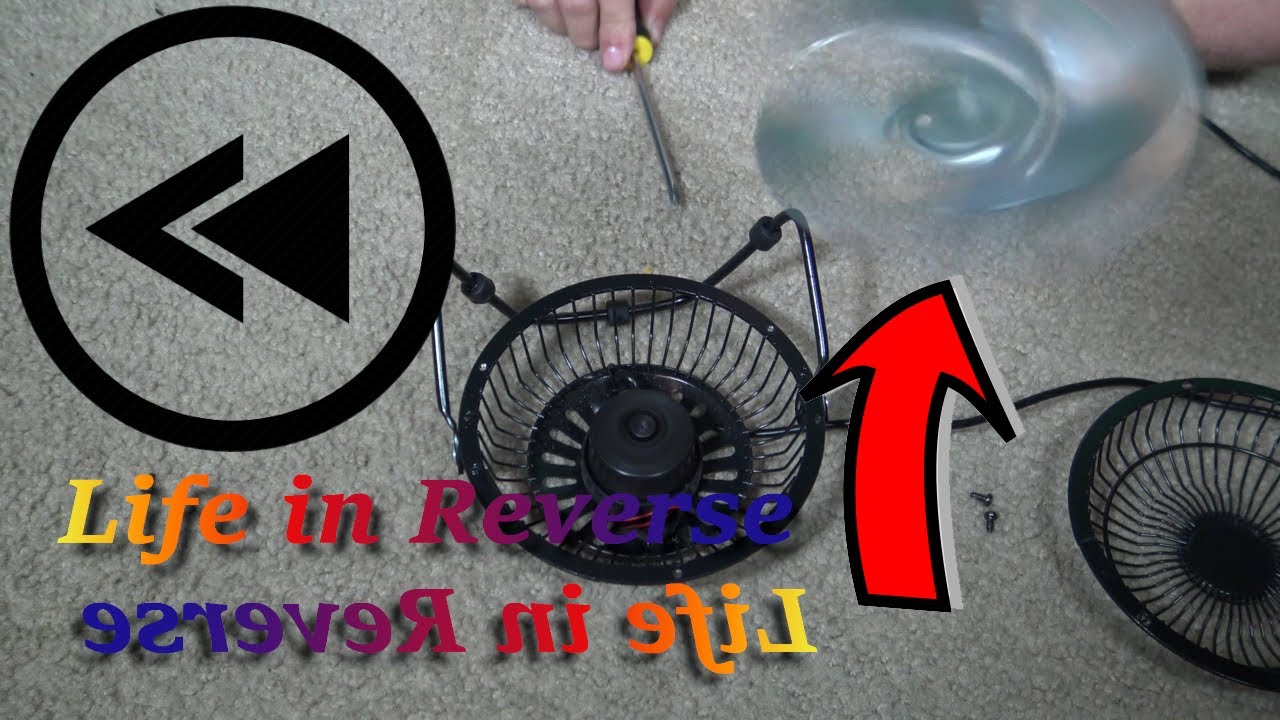 These things in reverse look CRAZY!!! // Life in Reverse // Inside ...