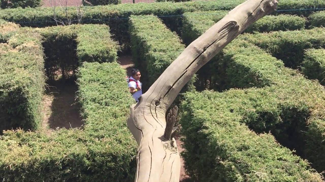 Volcanic Park - Laberinto jardín 02 - YouTube