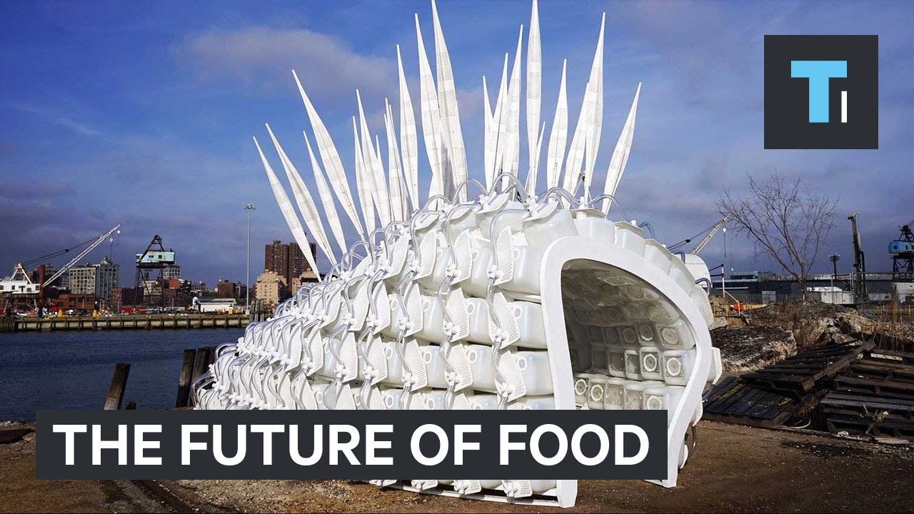 This weird building contains the future of food - YouTube