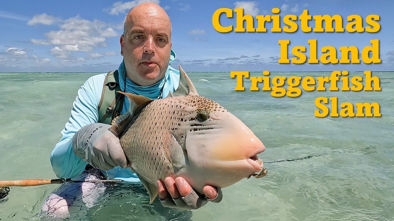 Christmas Island (Kiritimati) Fly Fishing Triggerfish Slam - 3 Species ...