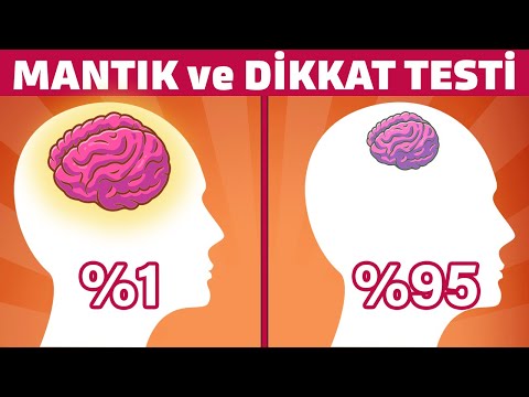 Zeka Dikkat ve Mantık için 4 Dakikada Test