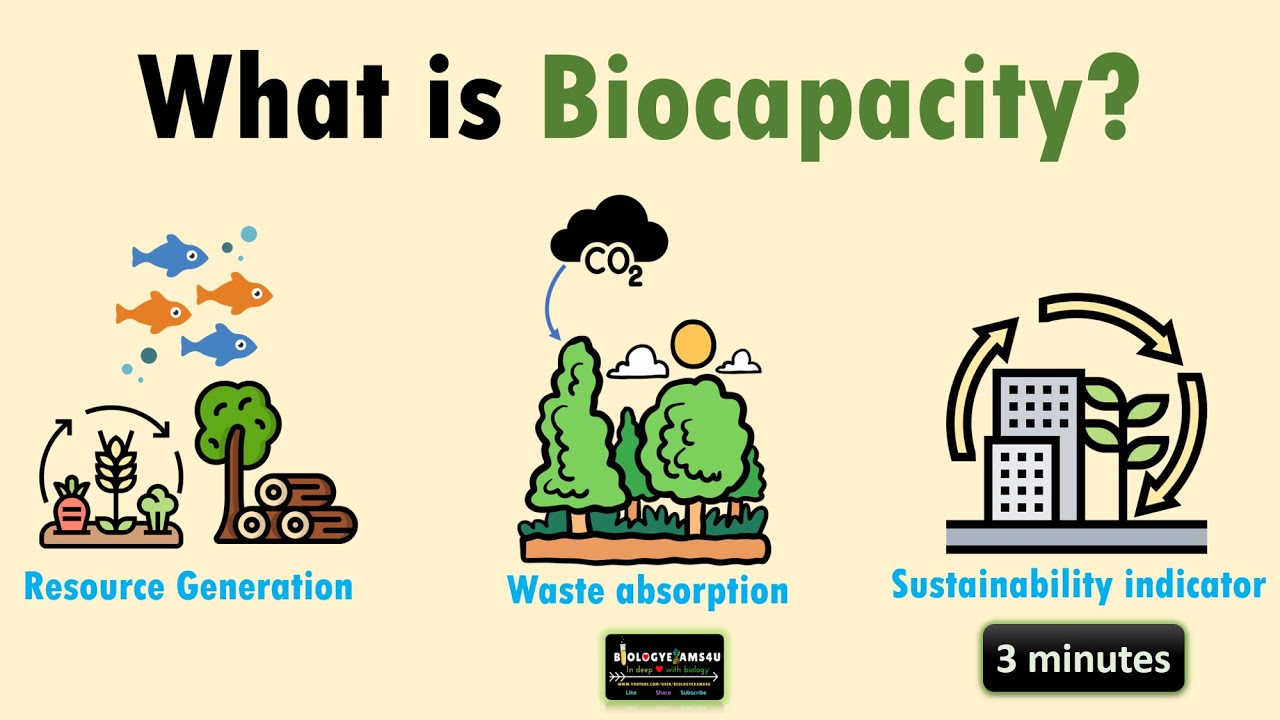 What is Biocapacity? Explained with 2 examples - YouTube