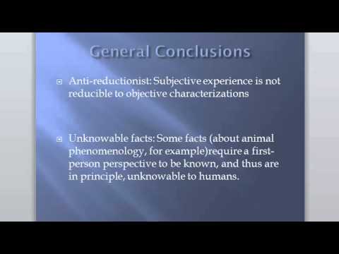 Nagel - What is it like to be a bat? - YouTube