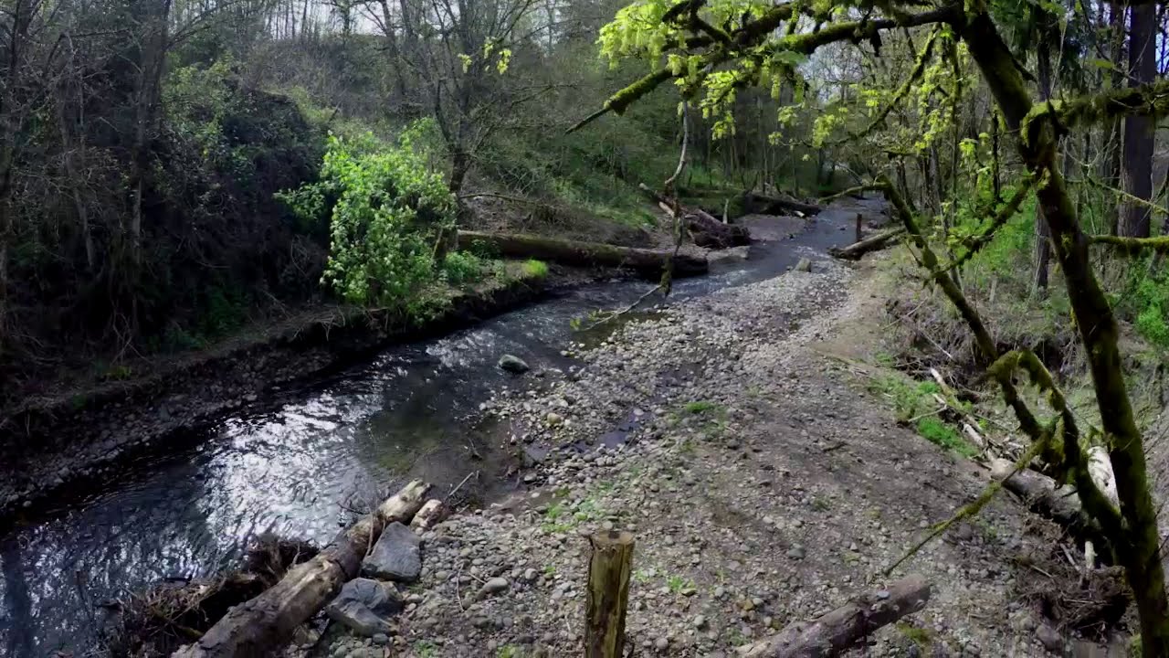 Shade Our Streams - YouTube