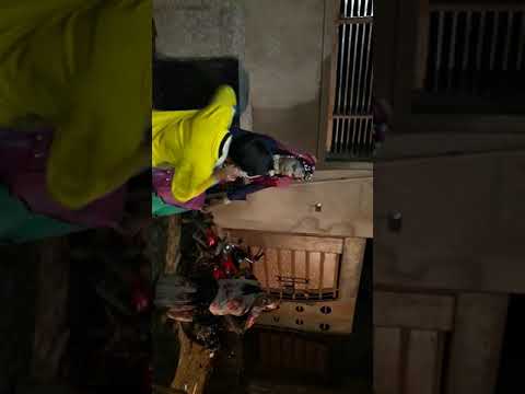 Akas rangila dance hathras