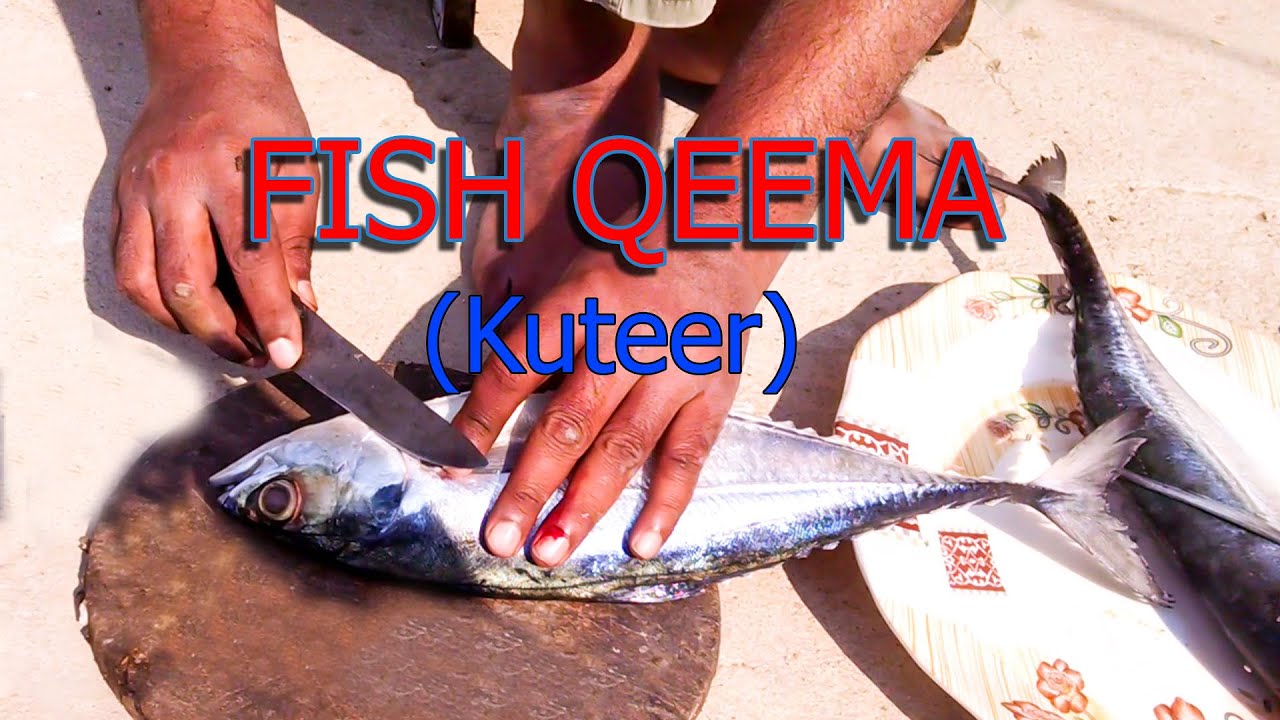 Fish qeema (Kuteer) - YouTube