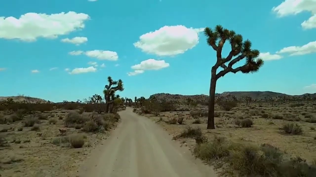 Joshua Tree National Park Tours by Adventure Hummer tours - YouTube
