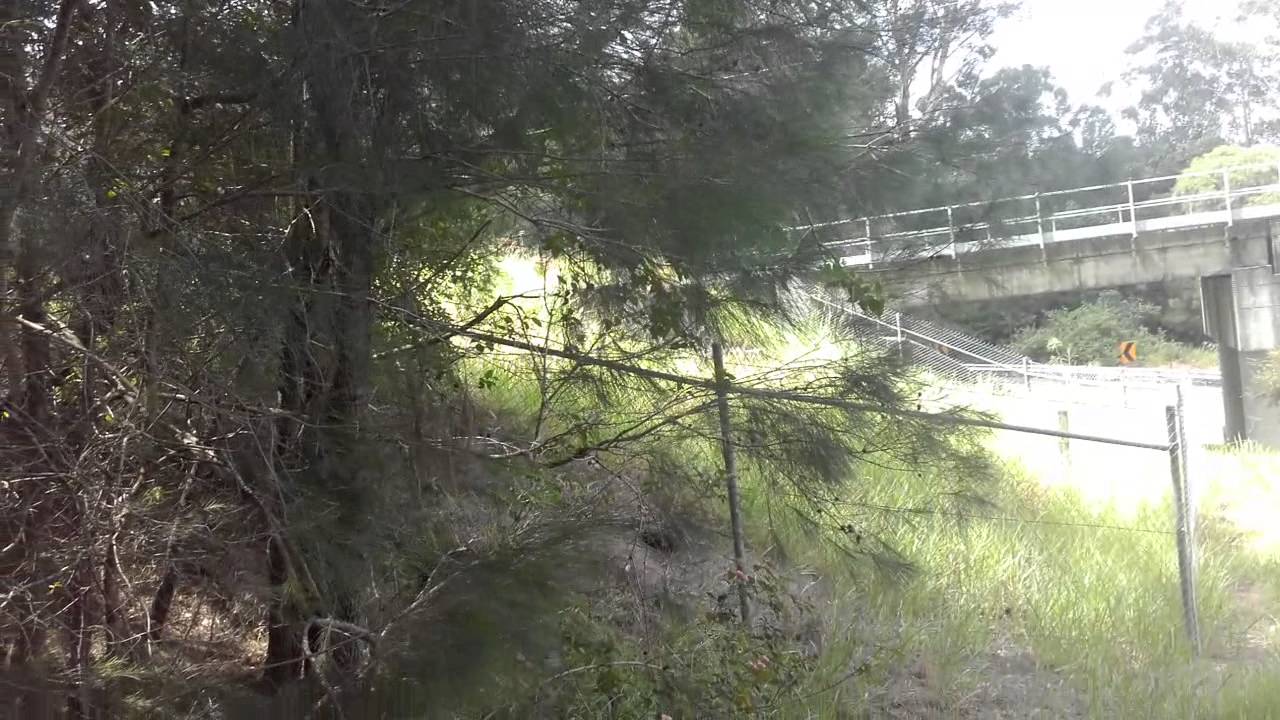 Queensland rails 2357-2492H hauling cattle over the bridge near elimbah ...