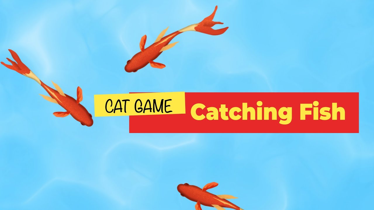 CAT GAMES - CATCHING FISH 🐟 ENTERTAINMENT VIDEOS FOR CATS TO WATCH ...