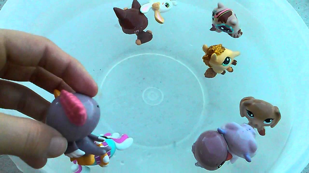 LPS POOL PARTY!!!!! - YouTube