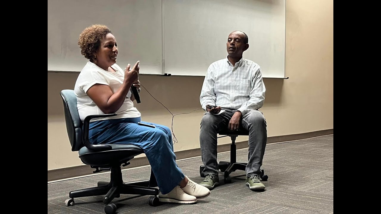 "Contemporary Architecture in Addis Ababa" by Rahel Shawl and Dawit ...