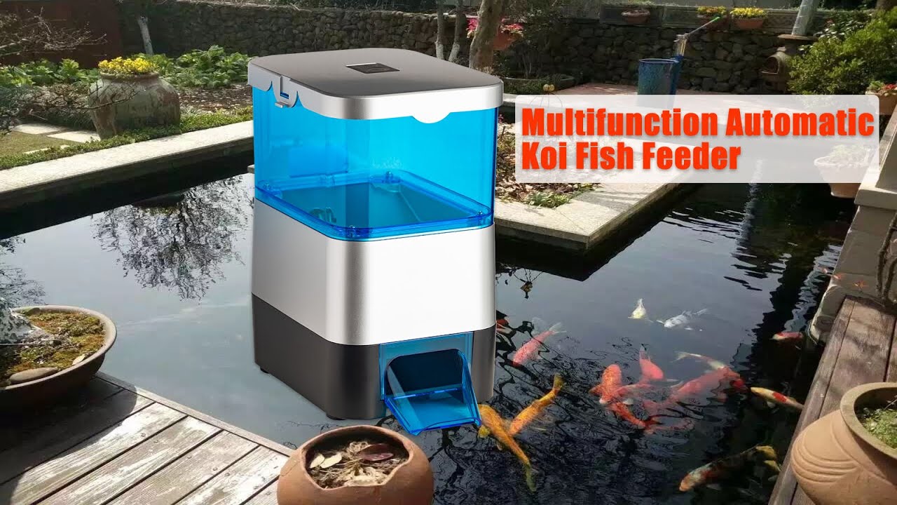 Multifunction Automatic Koi Fish Feeder - YouTube