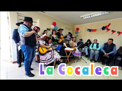 La Cocaleca - Conjunto Folclórico Las Orquídeas de san Antonio - YouTube