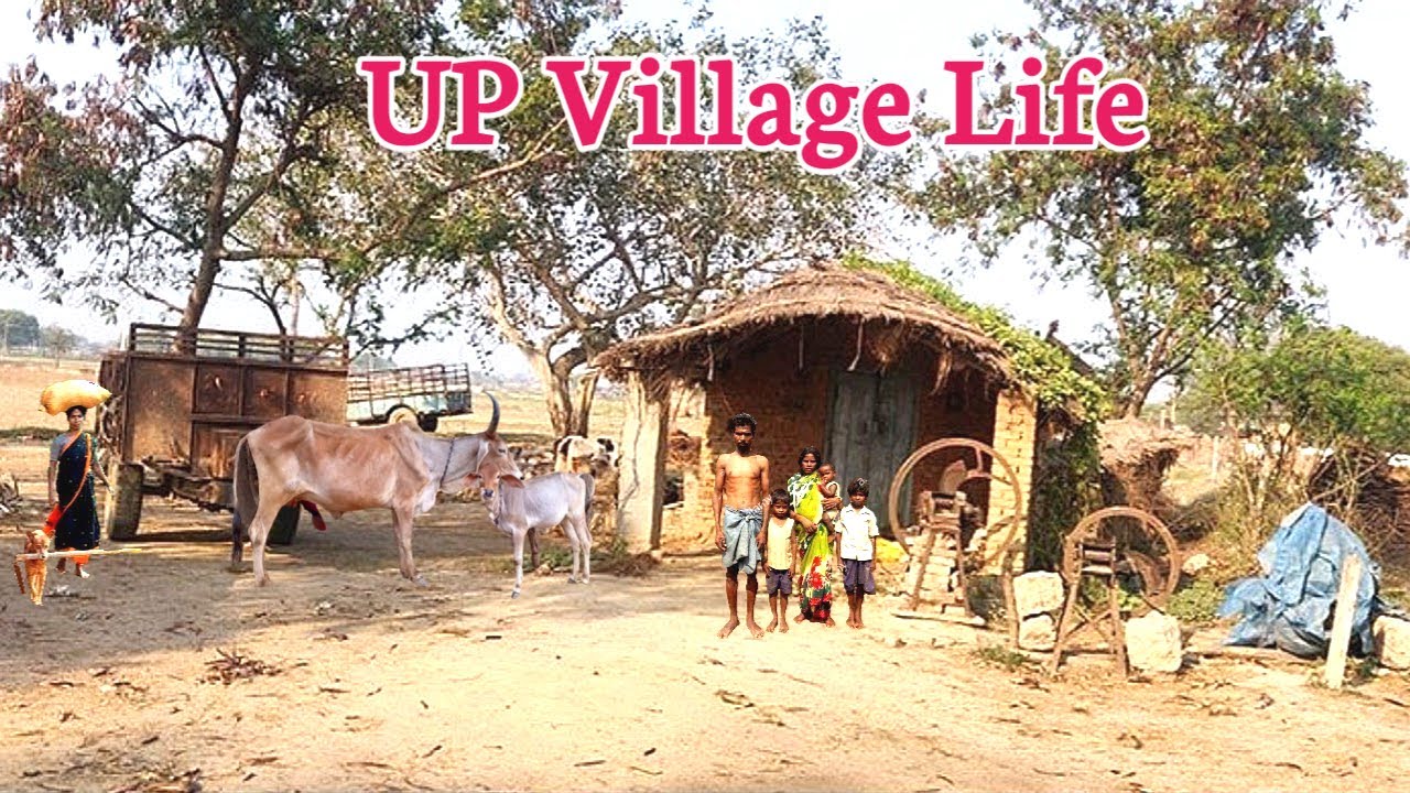 Uttar Pradesh Village Life। Real Life Uttar Pradesh। Real Life India ...