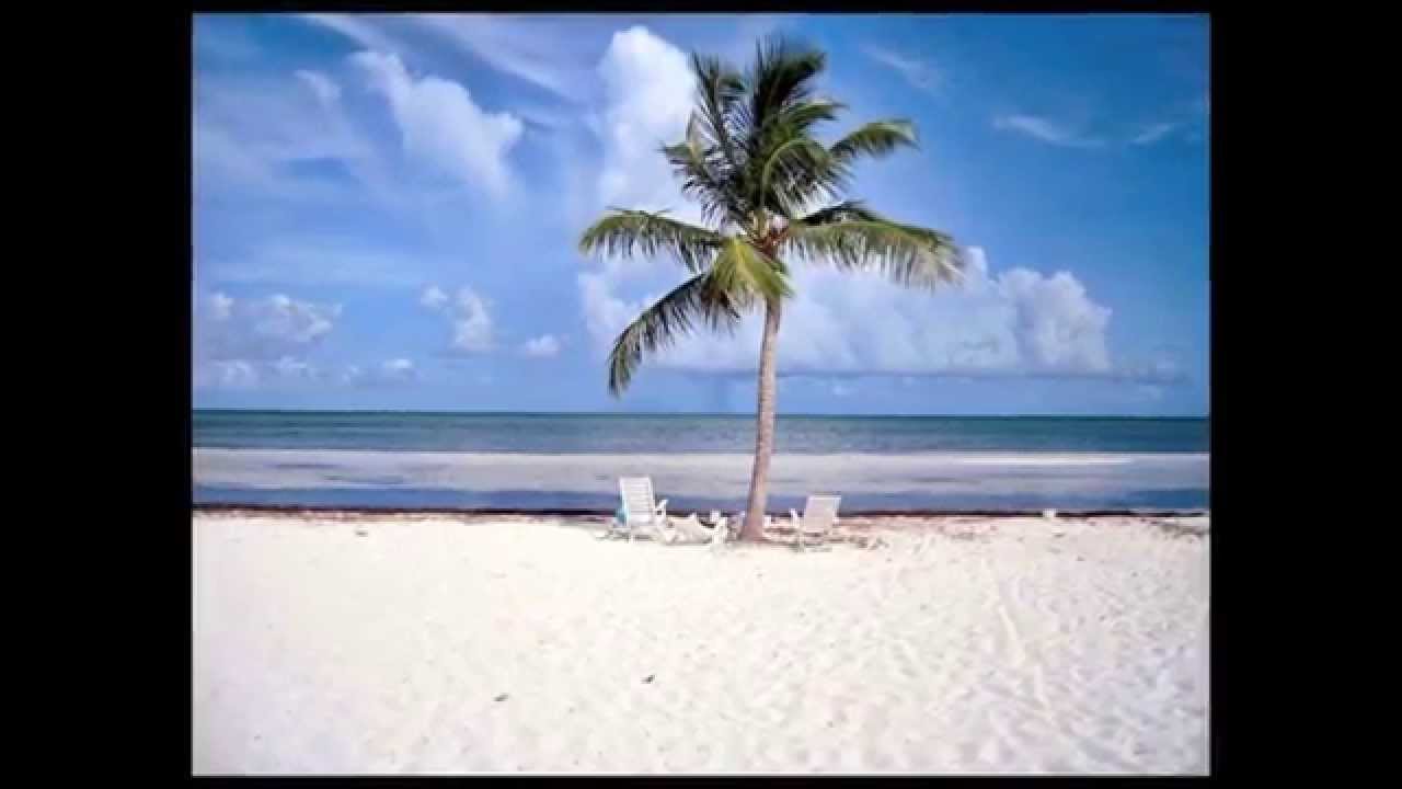 Relocating to Florida Video - Sally Stribling - YouTube