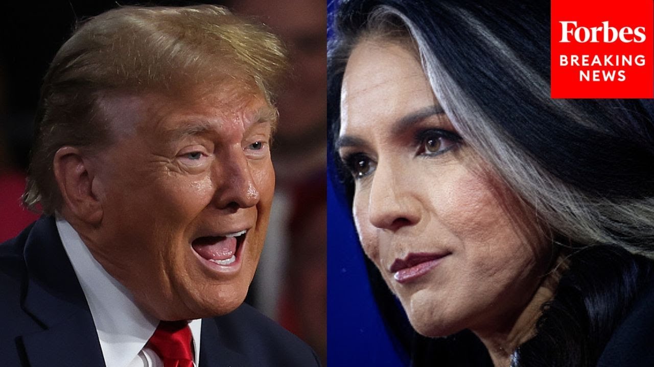 Tulsi Gabbard Praises Trump For Fighting Against ‘Washington ...