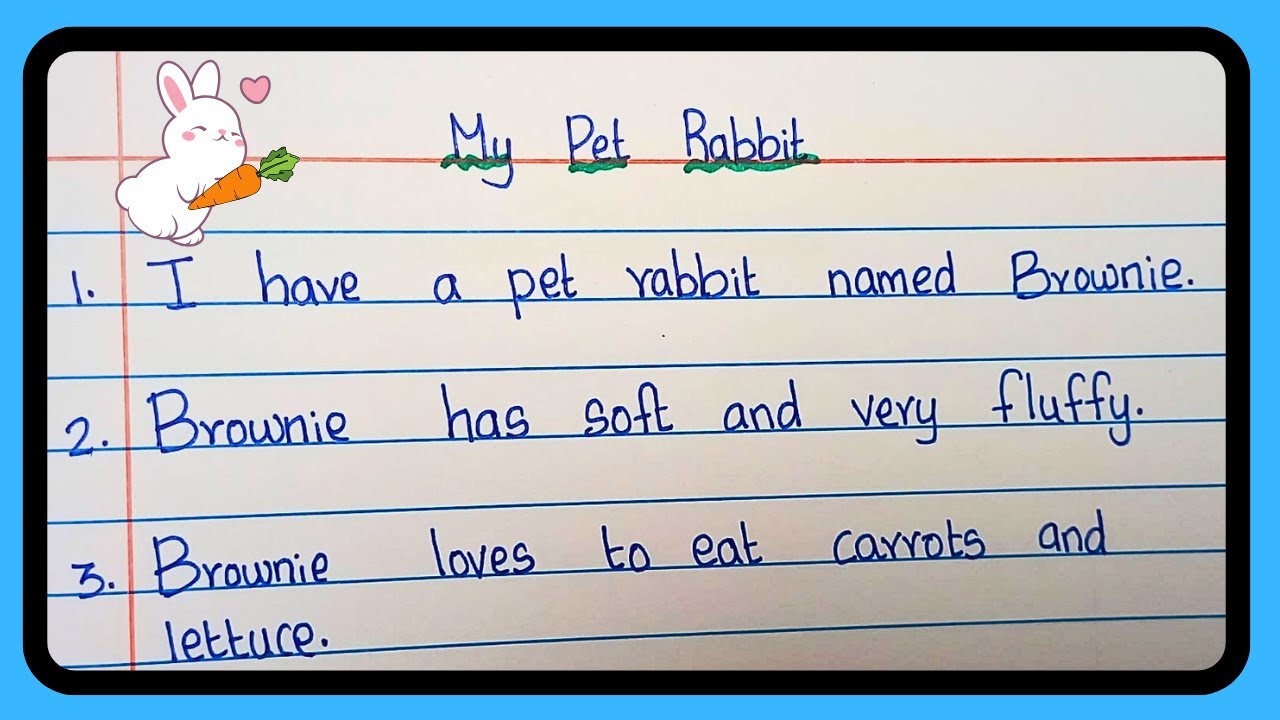 rabbit essay/10 lines on Rabbit/essay on Rabbit/10 lines essay on ...