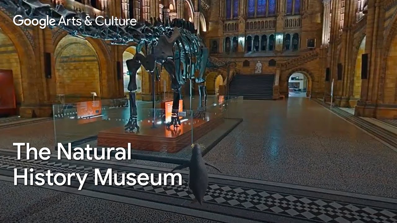 Discover LONDON's Natural History Museum with the PENGUIN | Google Arts ...