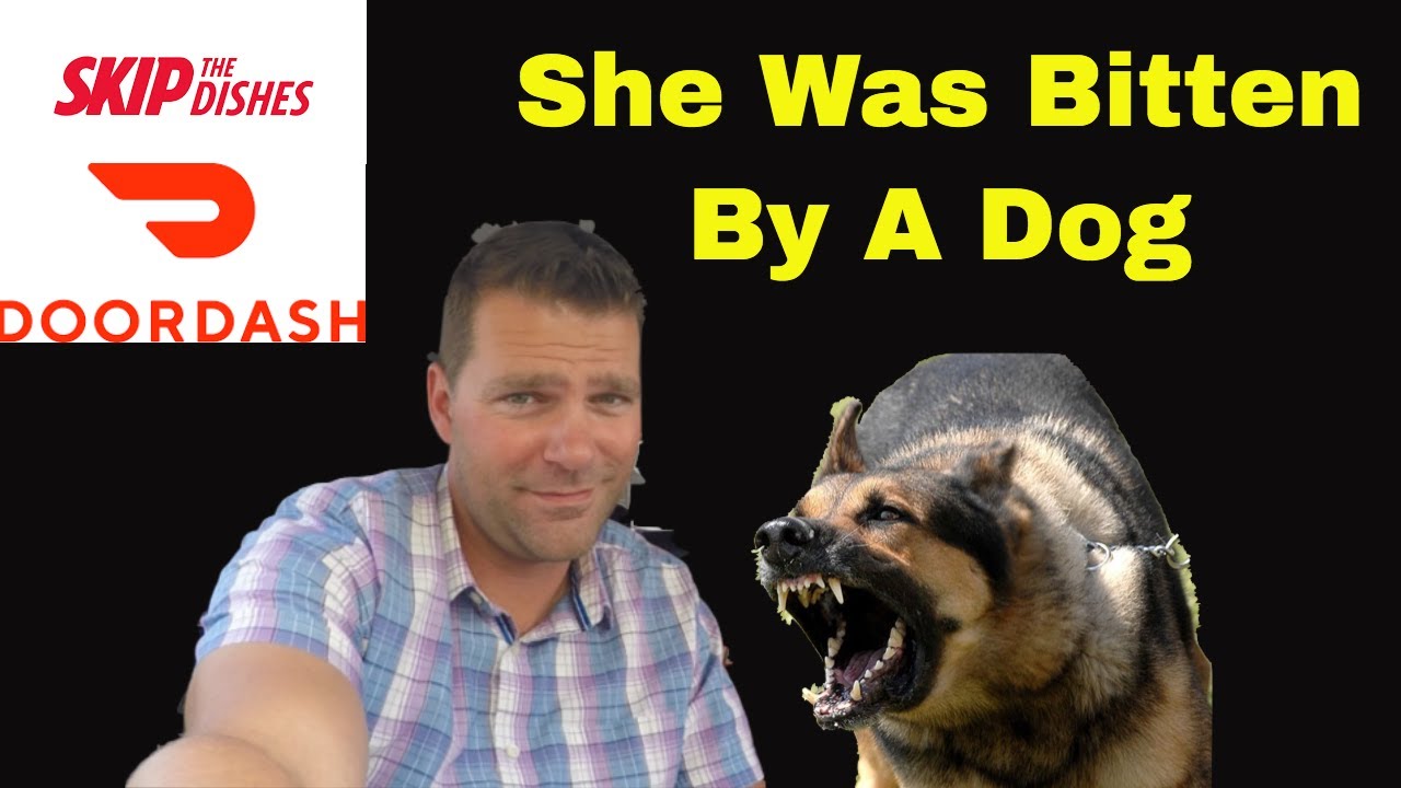 Skip The Dishes / Doordash The Dog Bit Her! Episode 100 - YouTube