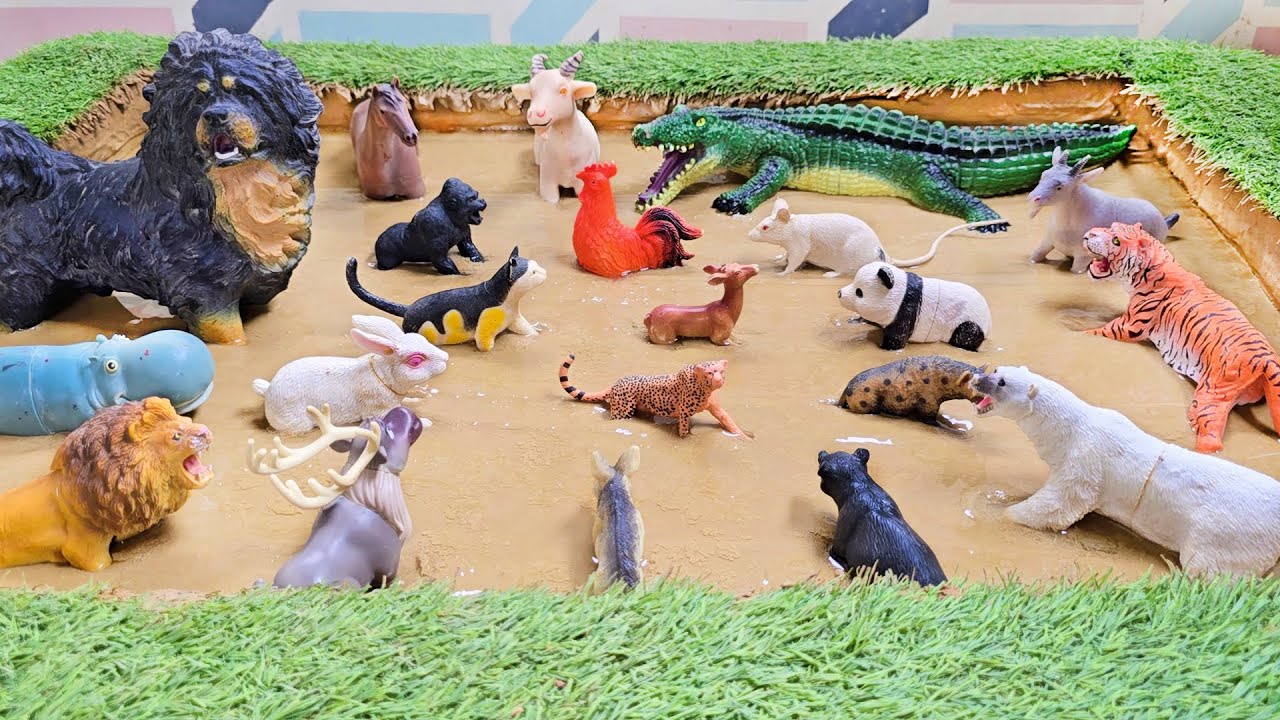 Learning and Unraveling the Mystery of Crepuscular Animals & Their ...