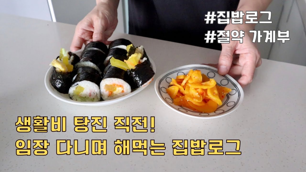 가계부 브이로그임장 다니며 해먹는 집밥로그 생활비 탕진 직전 우리집은 어디에 힘들어도 잘 해먹고 버티는 2인 가구