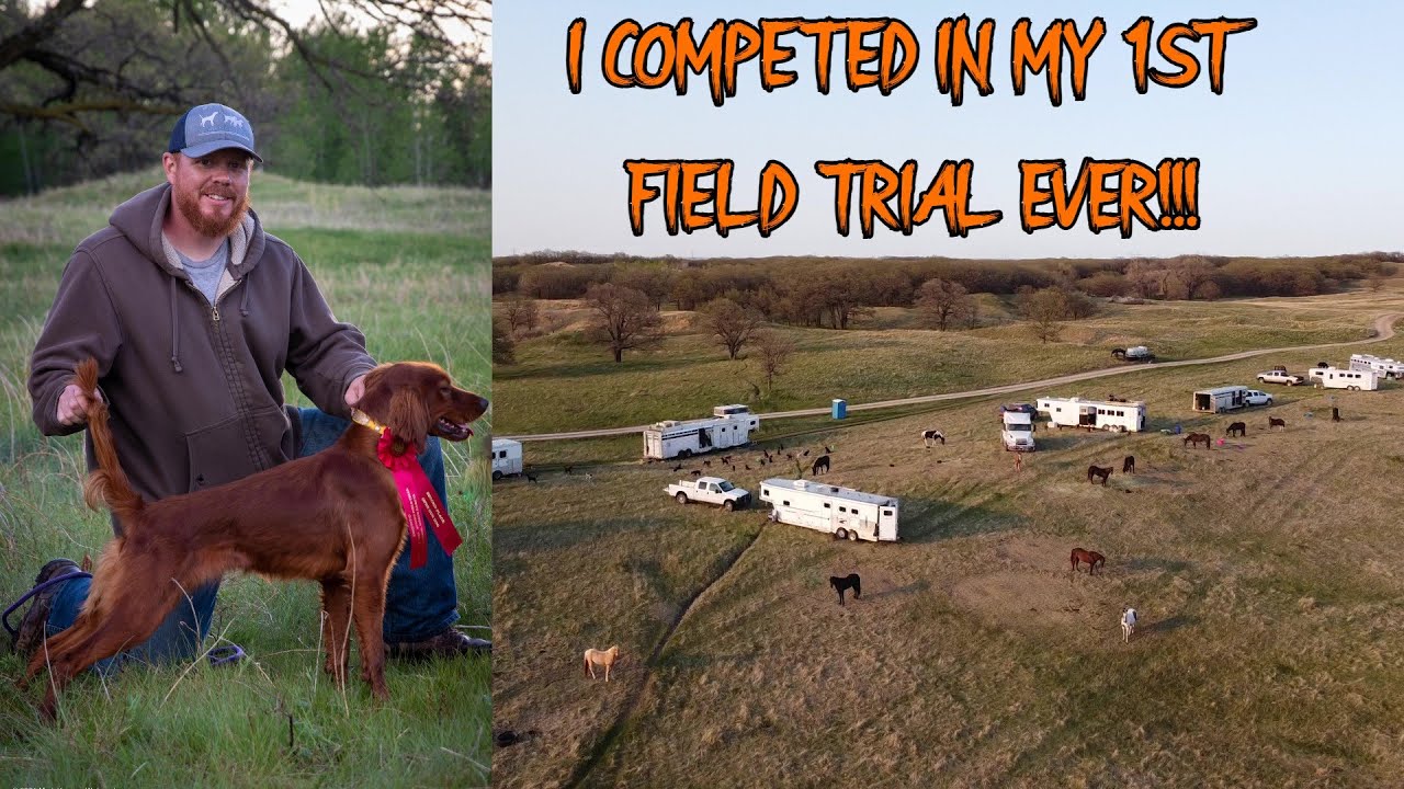 I COMPETED IN MY 1ST FIELD TRIAL EVER!!! - YouTube
