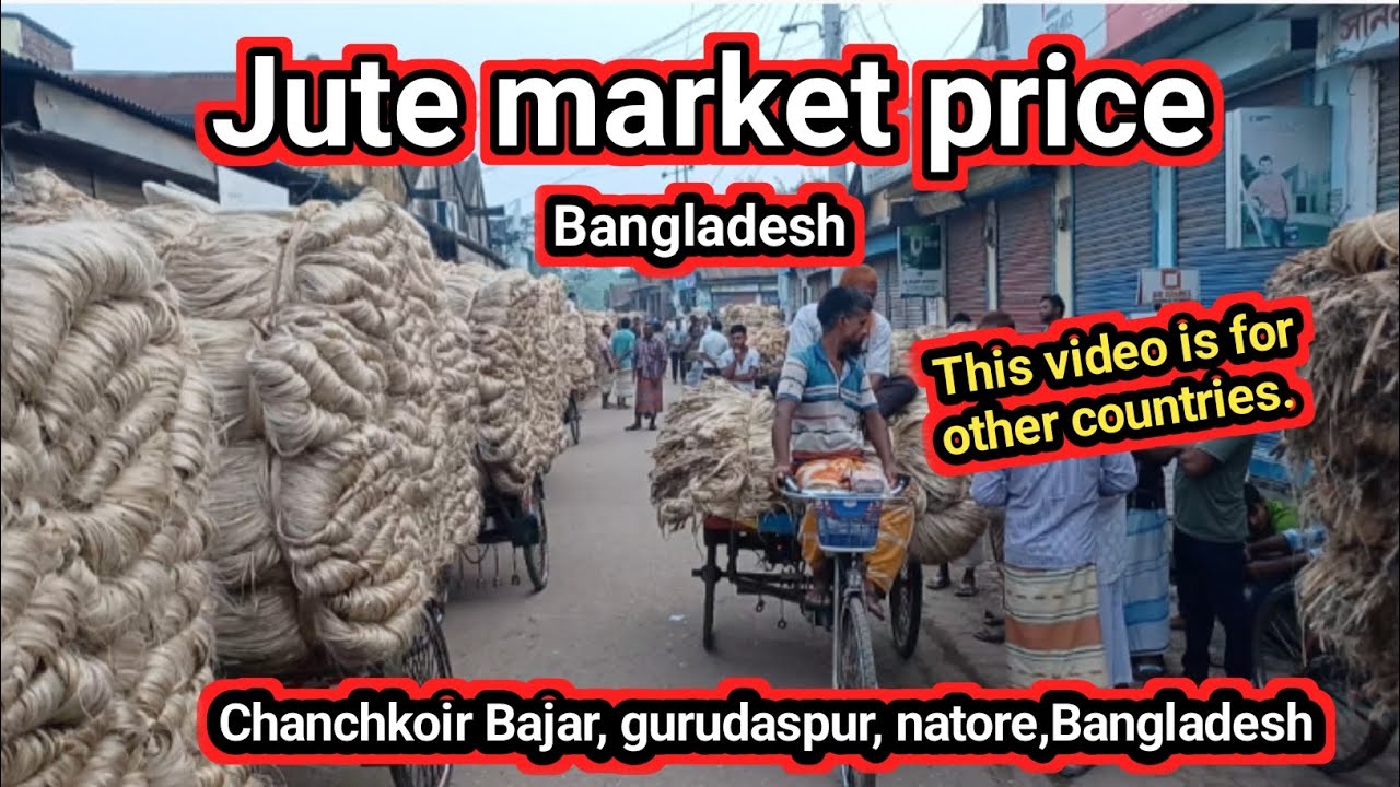 Jute Price in Bangladesh Today 📈 | Latest Jute Market Update 2025 ...