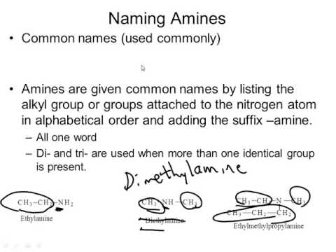 Naming Amines Common Names - YouTube