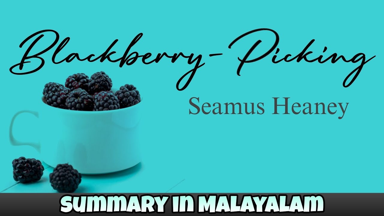 Blackberry Picking by Seamus Heaney | summary in Malayalam | FYUGP ...