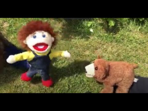 Ask Mr. Bear - YouTube