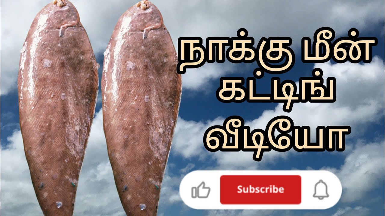 SOLE FISH NAKKU FISH cutting video Thoothukudi v.o.c.fish market நாக்கு ...