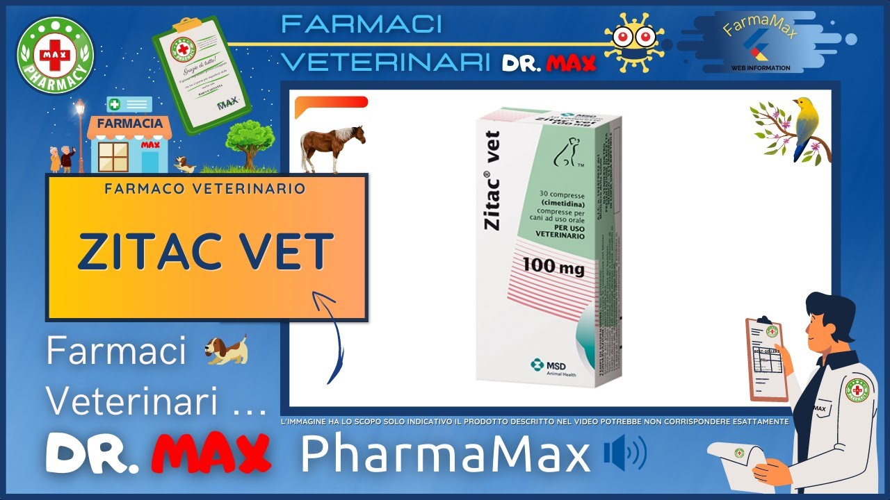 🐶 ZITAC VET Farmaco Veterinario a cosa serve ? - Foglietto Illustrativo ...