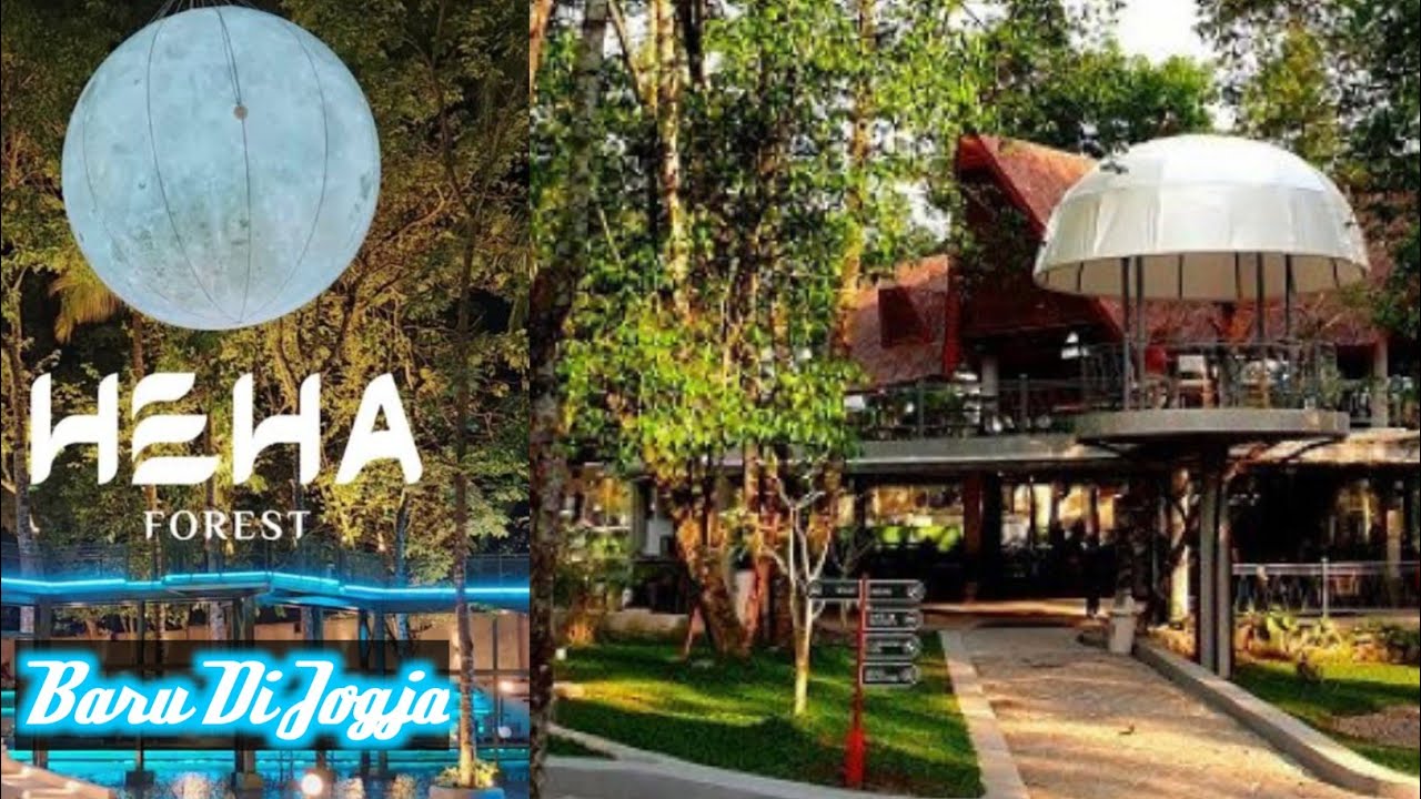 Tempatnya Mungil tapi sangat teduh dan rindang || Heha Forest Jogja ...