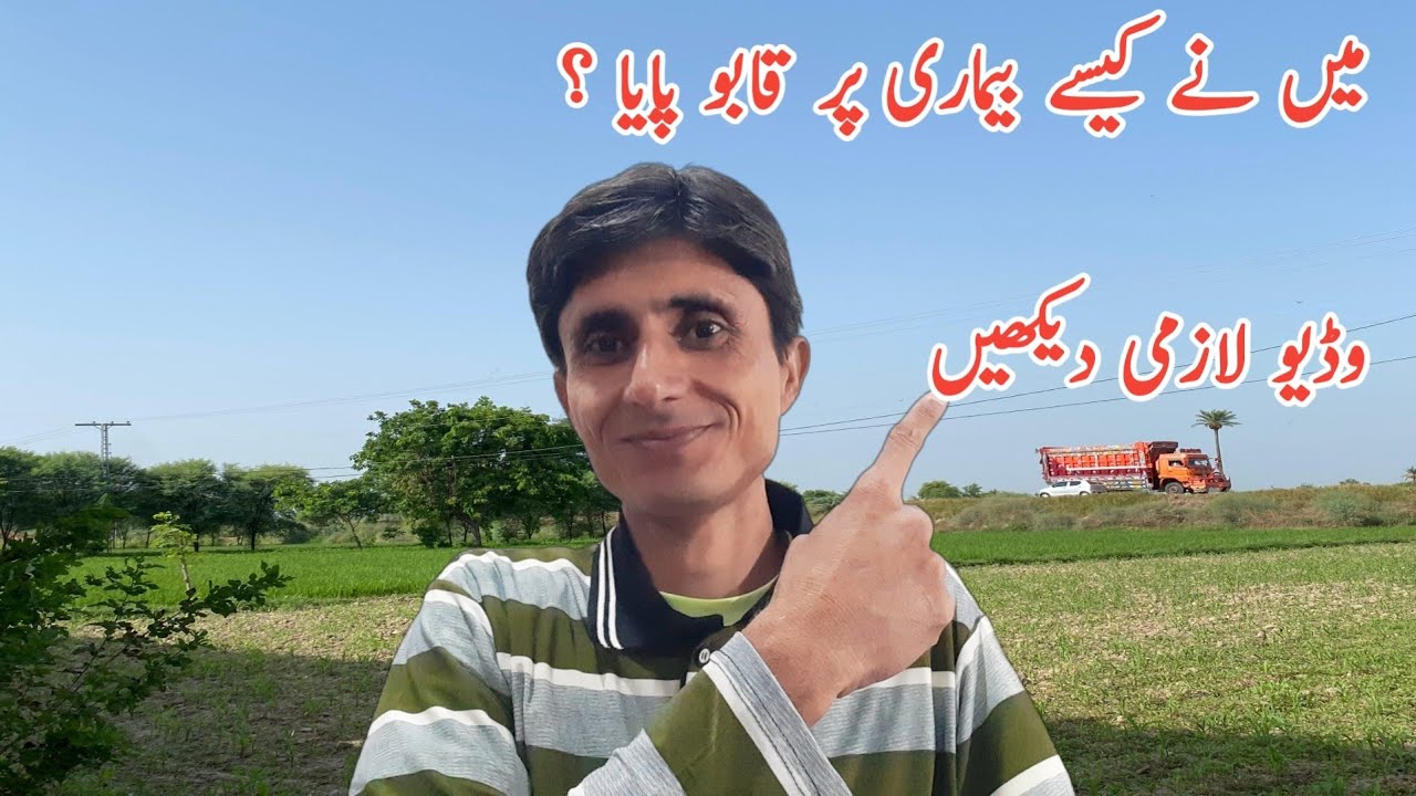 How to manage my Health Problems |Urain infection and treatment |Health ...