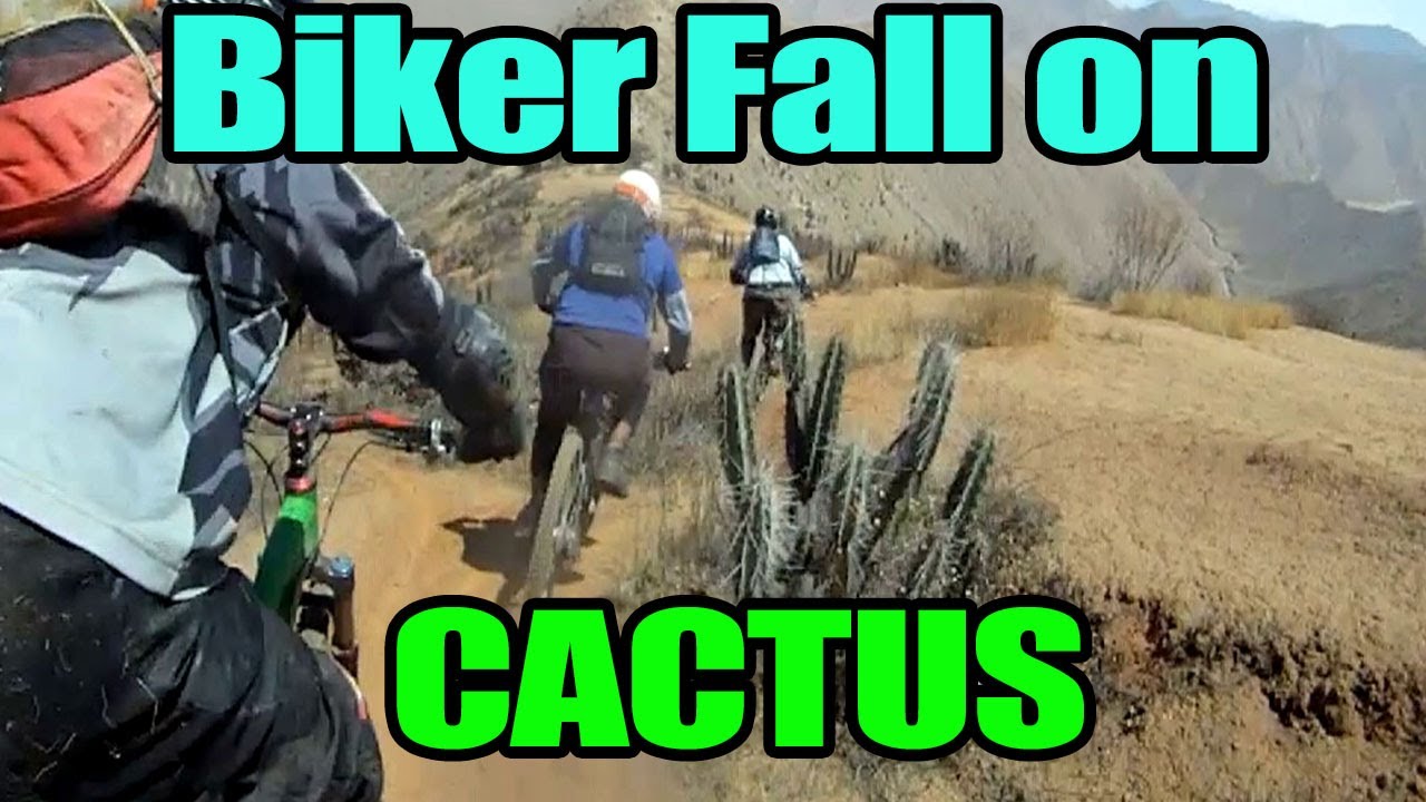FAILS WORLD - Racer ending in Cactus ! - YouTube