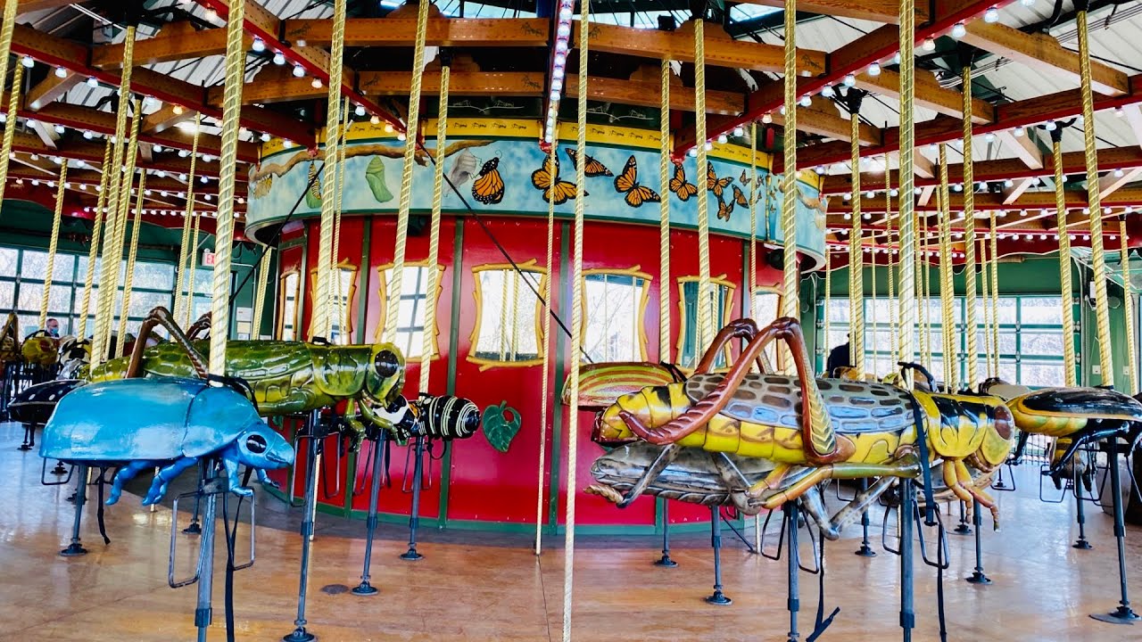 Adrito is having fun at the Carousel 🎠 ride in Bronx Zoo, New York, USA ...