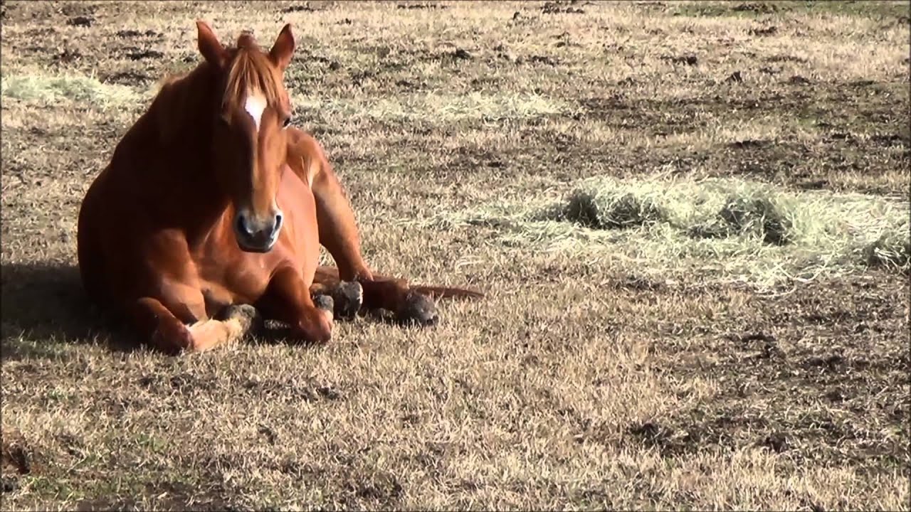 Good Morning Madison - YouTube