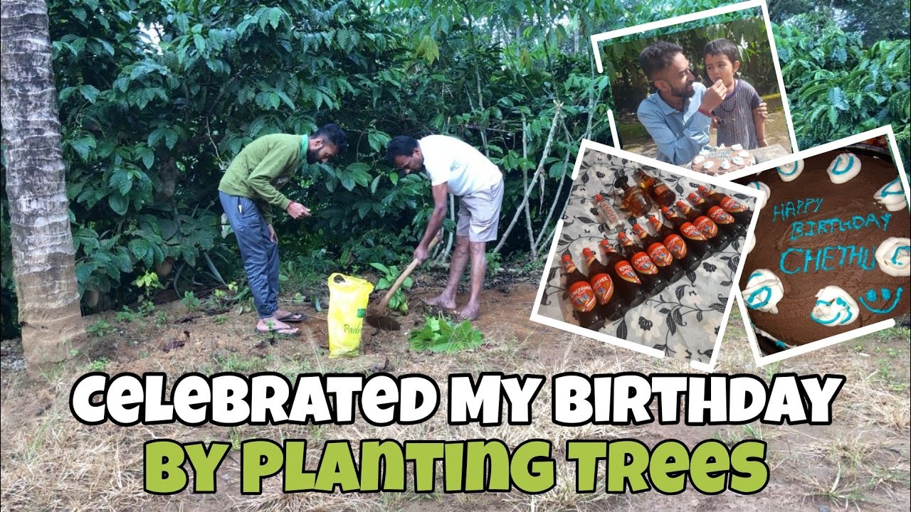 Celebrated my birthday by planting tree saplings and sowing seeds - YouTube