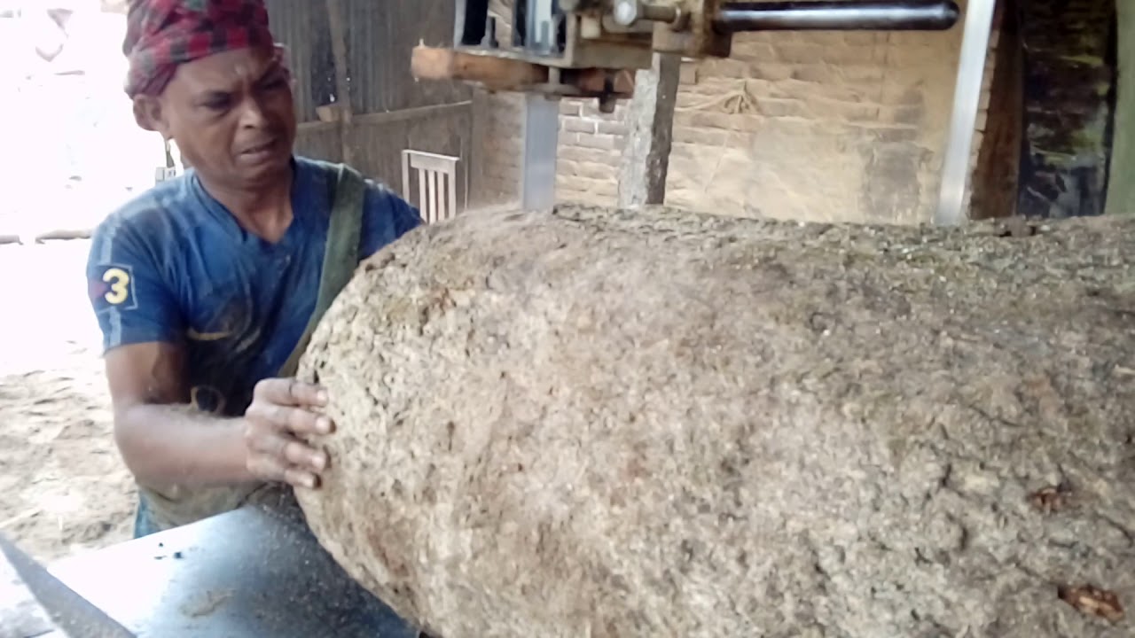 Grey and white colour big wood gashing into small pieces by the saw ...