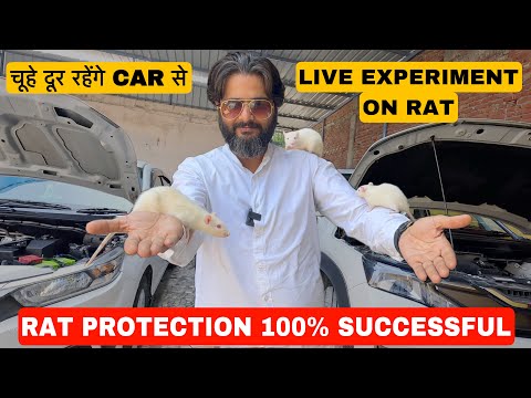 Rat Protection for Car 100% Successful || चूहे दूर रहेंगे Car से