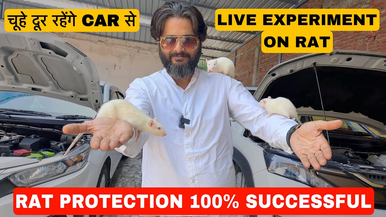 Rat Protection for Car 100% Successful || चूहे दूर रहेंगे Car से - YouTube