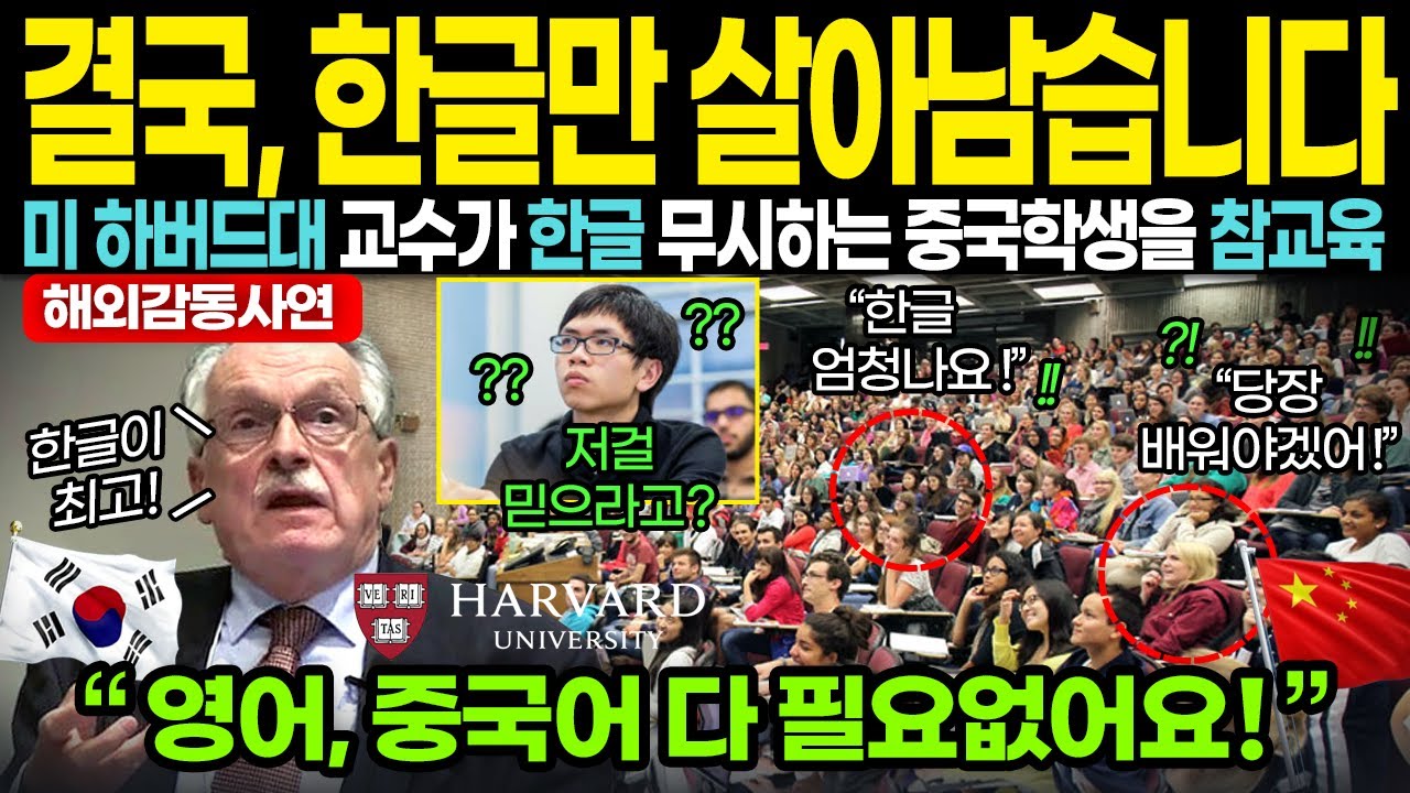 결국 20년 뒤 한글이 전세계 공용어가 됩니다 미국 하버드대 교수 한국어 무시하는 중국 학생을 향한 참교육에 강의실이 발칵 뒤집힌 이유ㅣ해외감동사연 Youtube