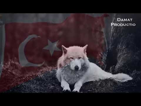 Türklerin Tüyleri Diken Diken yapan şarkılar