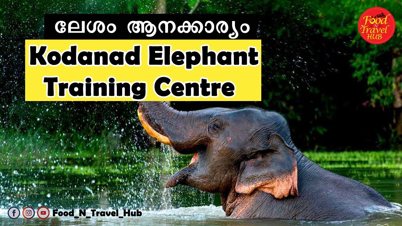 Kodanadu elphant rehabilitation centre. Abhayaranyam. #kodanad ...
