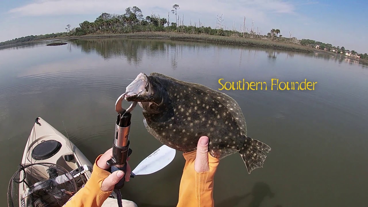 ASMR Kayak Fishing, San Sebastian River St Augustine - YouTube