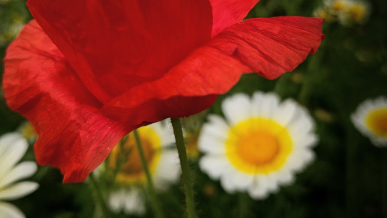 Shivam Pathak Live Stream - YouTube