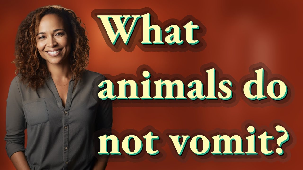 What animals do not vomit? - YouTube